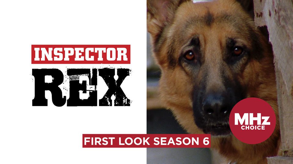 Dog Lovers: First Look at Inspector Rex (Season 6)