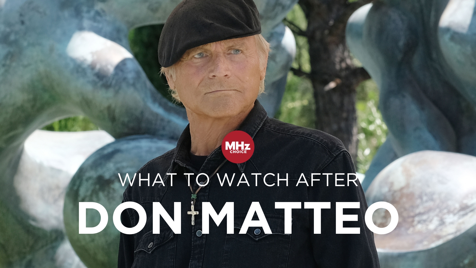 What to Watch After DON MATTEO